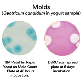 3M Petrifilm Rapid Yeast and Mold Count Plates | 3M Food Safety | 3M ...