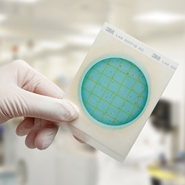 3M™ Petrifilm™ Lactic Acid Bacteria Count Plates | 3M United States